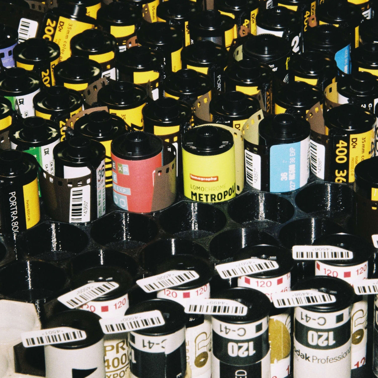 Drop-box/Mail-in Order for Piet 2025-09-22 – Mori Film Lab